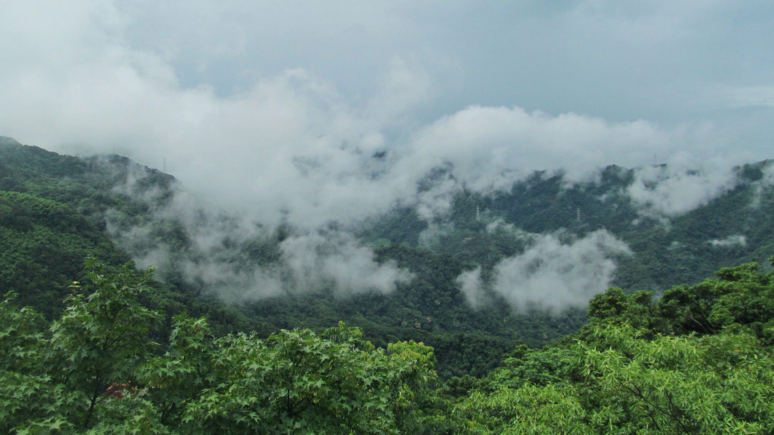 013 – The Beast Trail