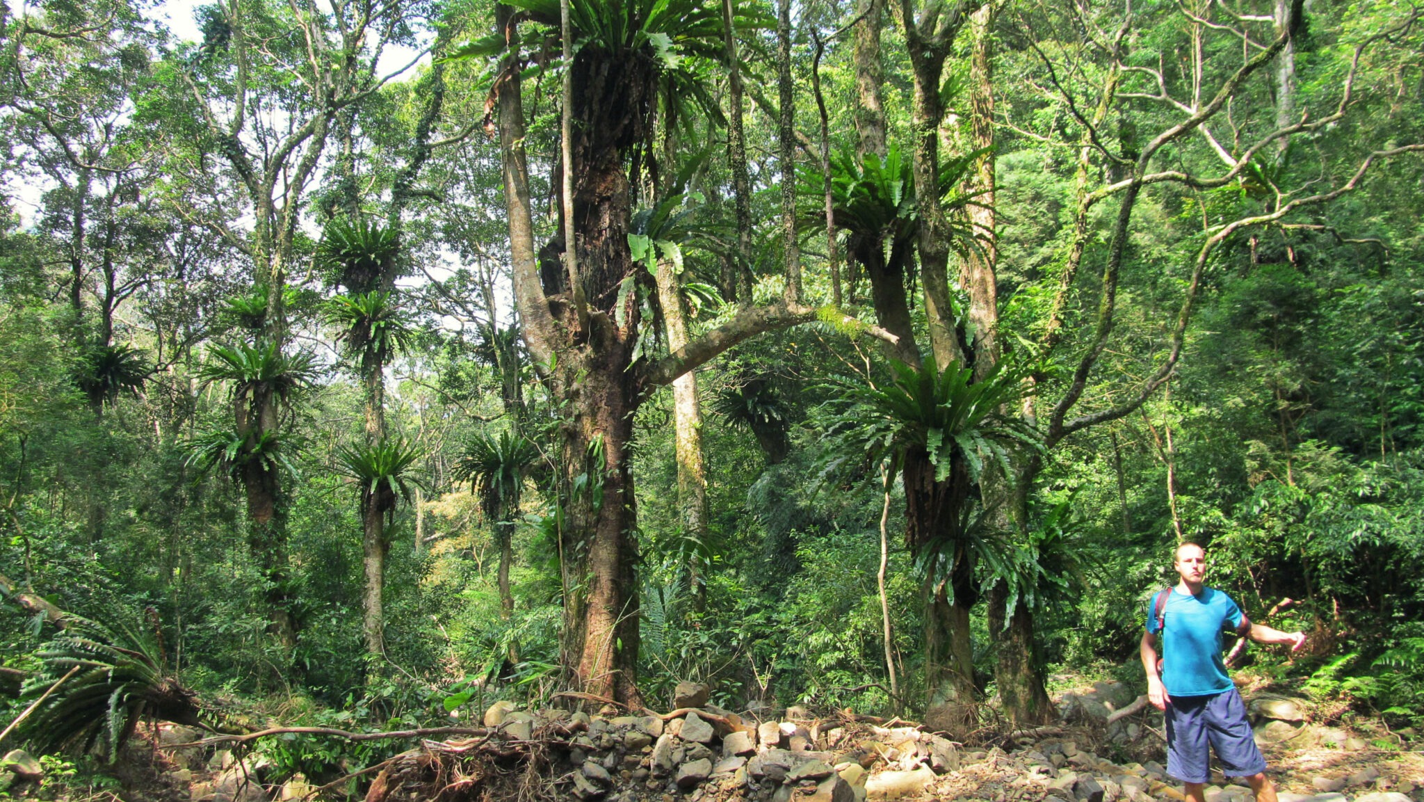 IMG_5769 – The Beast Trail