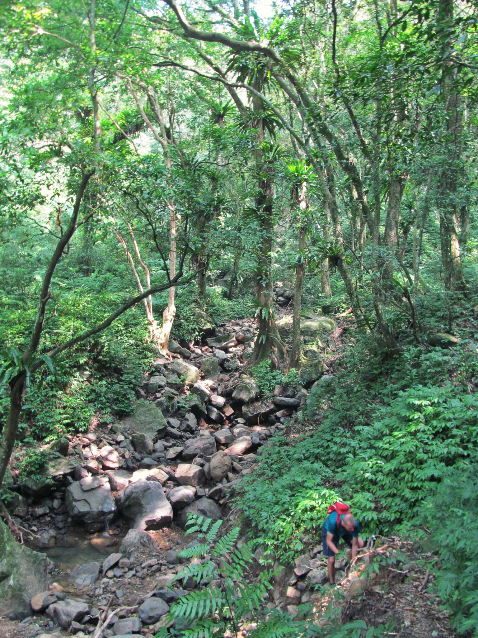 IMG_5776 – The Beast Trail