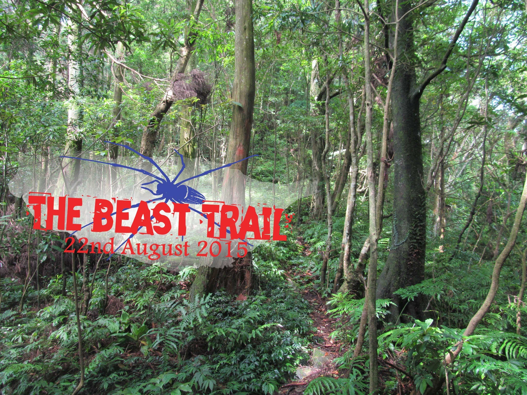 The Beast Trail – The Beast Trail