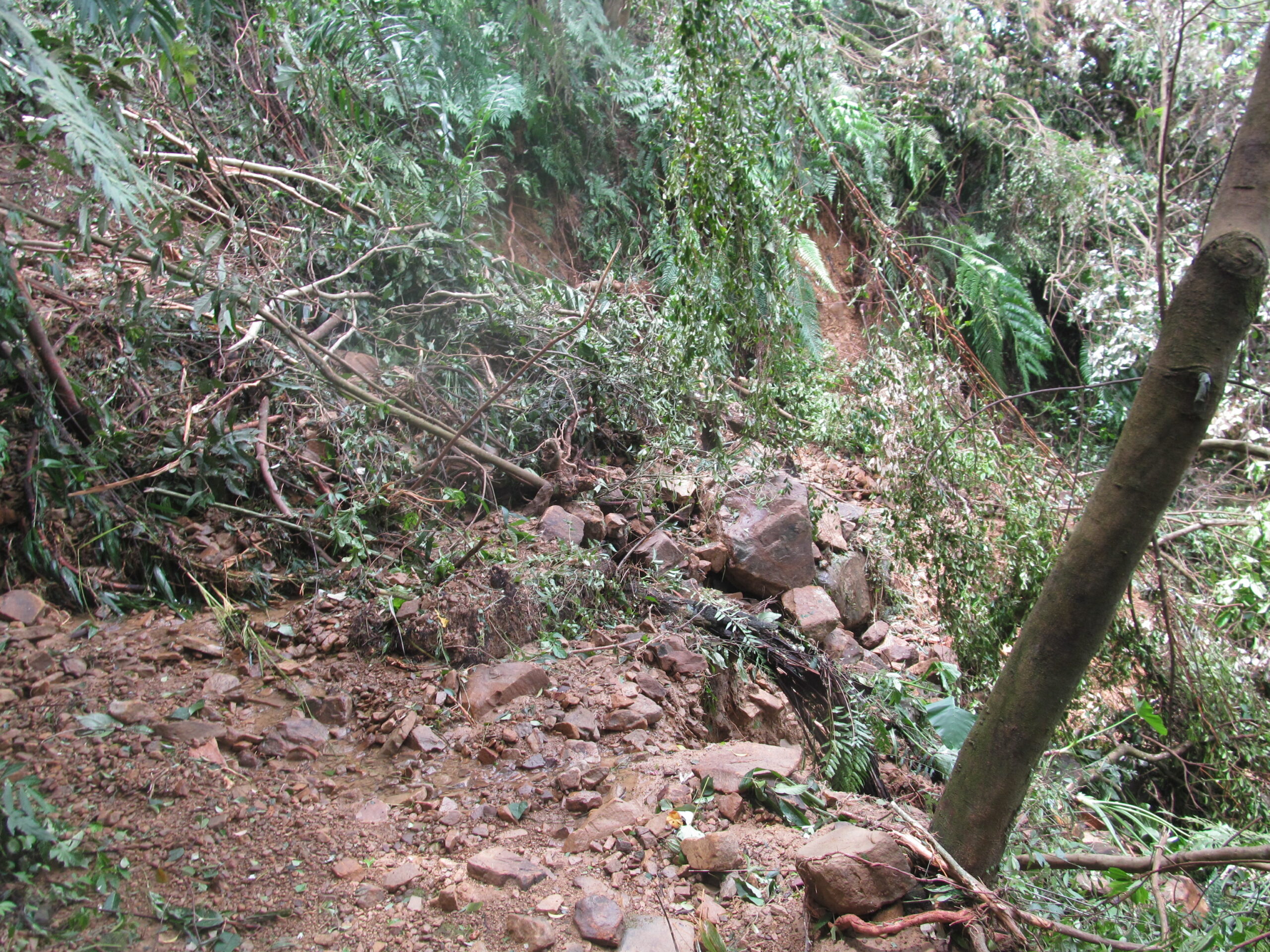 IMG_4859 – The Beast Trail